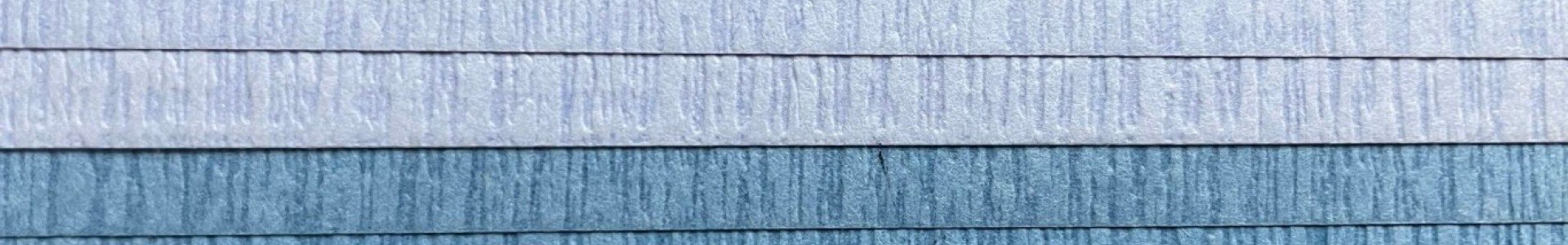 Xuan Paper | C & J Speciality Papers Phil. Inc.